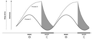 Een vast slaappatroon voor een betere nachtrust - Equilli